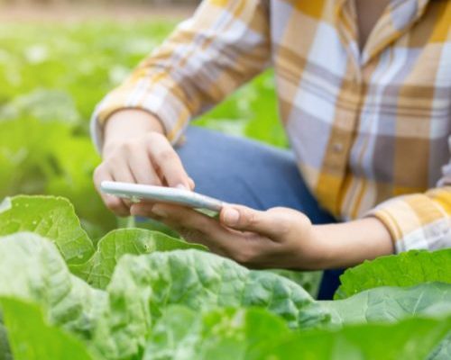 Why Resonacle – Resonacle